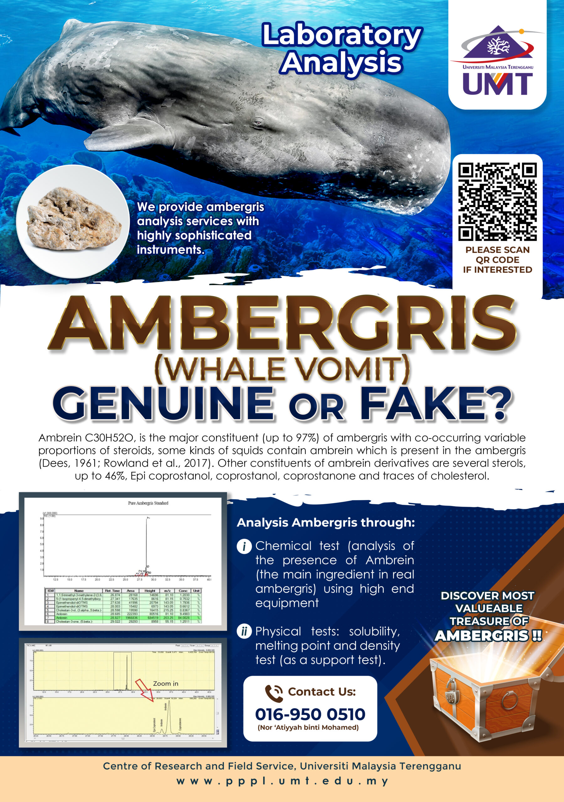 Home - Ambergris Analysis